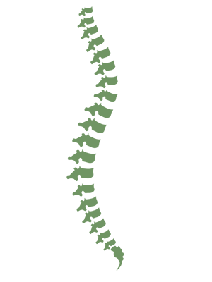 Chiropractic Spine Clipart No Background